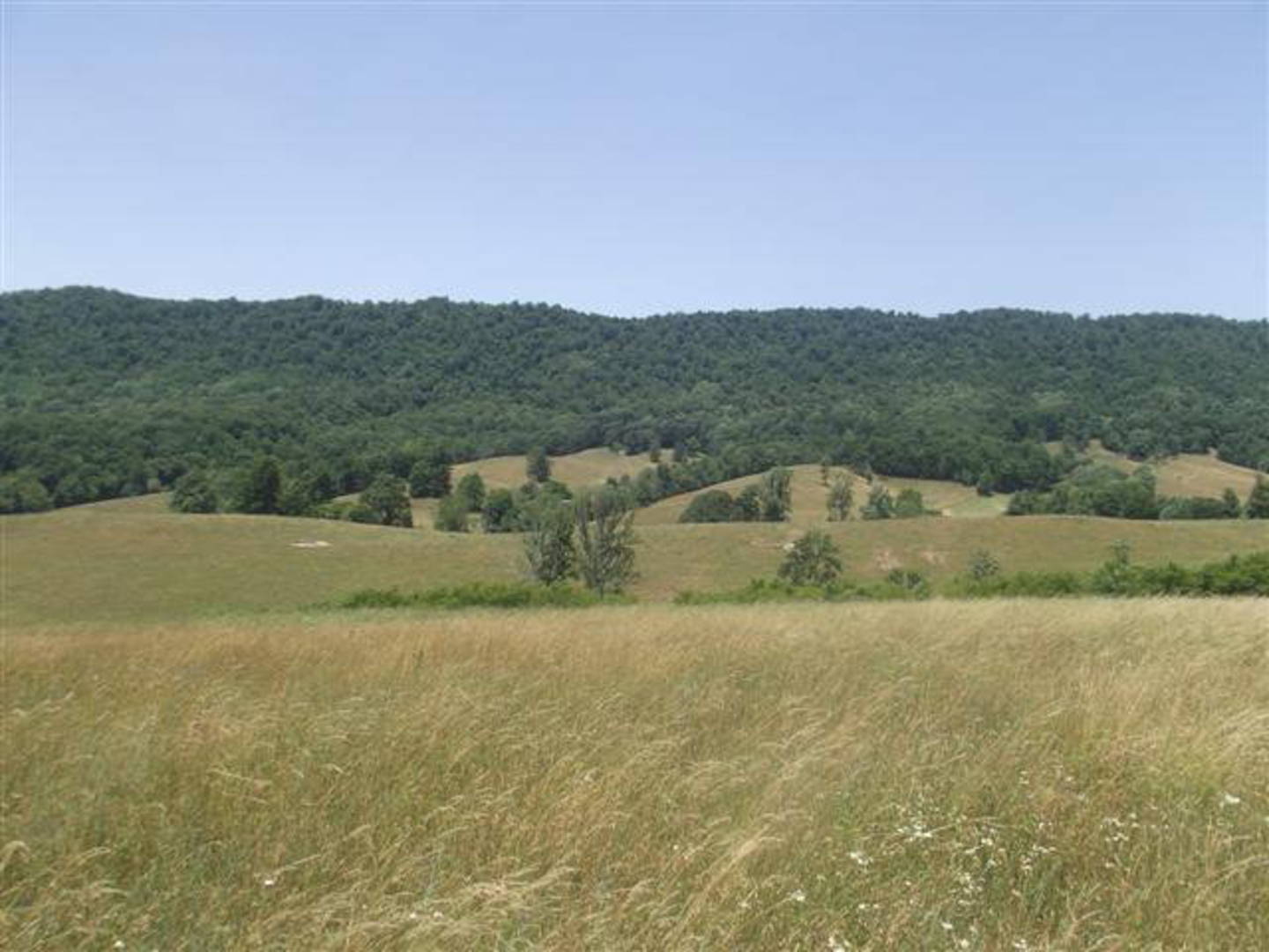 Brivity - 2682 W BLuegrass Trail Ceres, VA 24318 - Virtual Tour