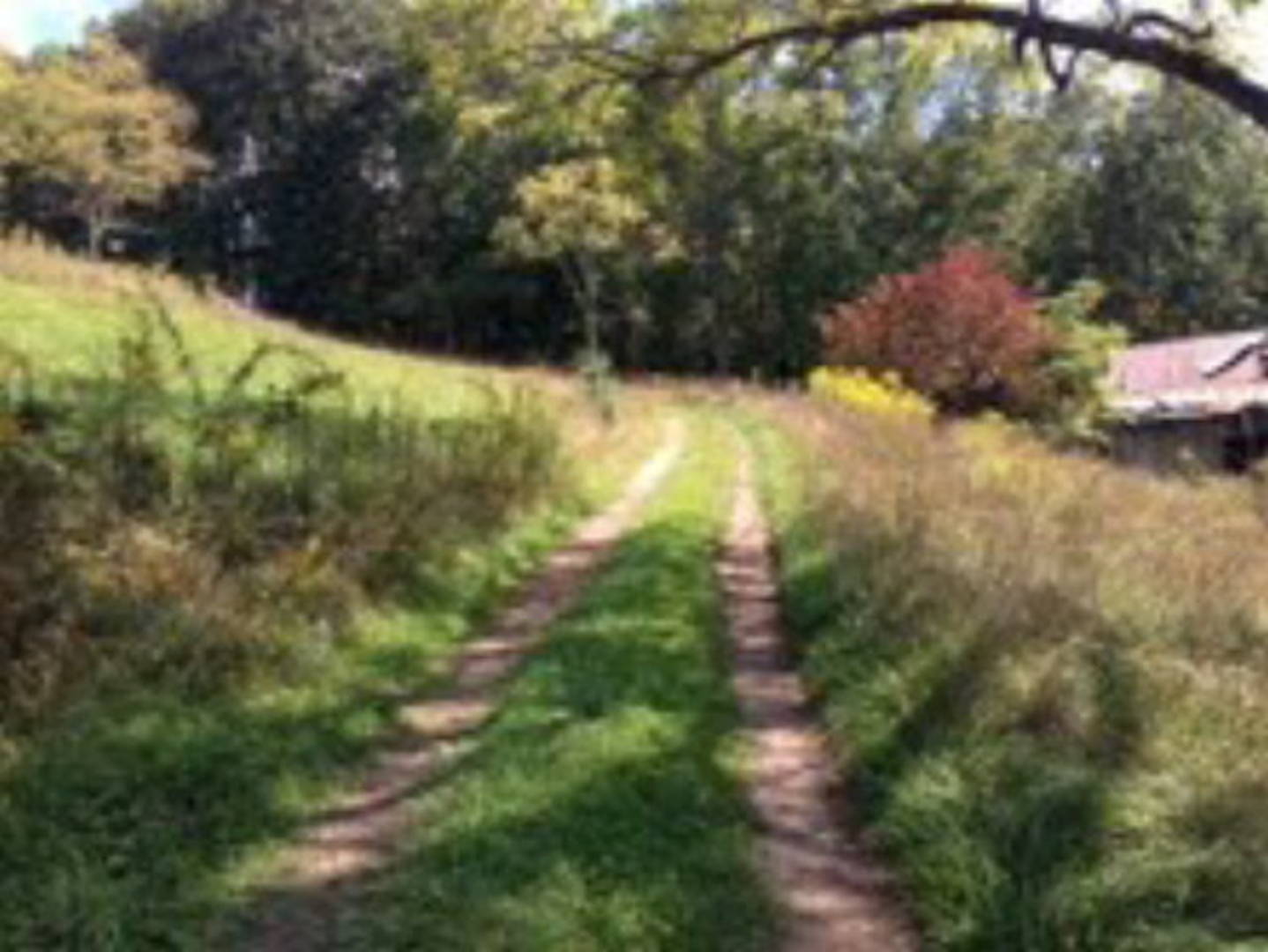 Brivity - 785 Dotson Ridge Road Ceres, VA 24318 - Virtual Tour