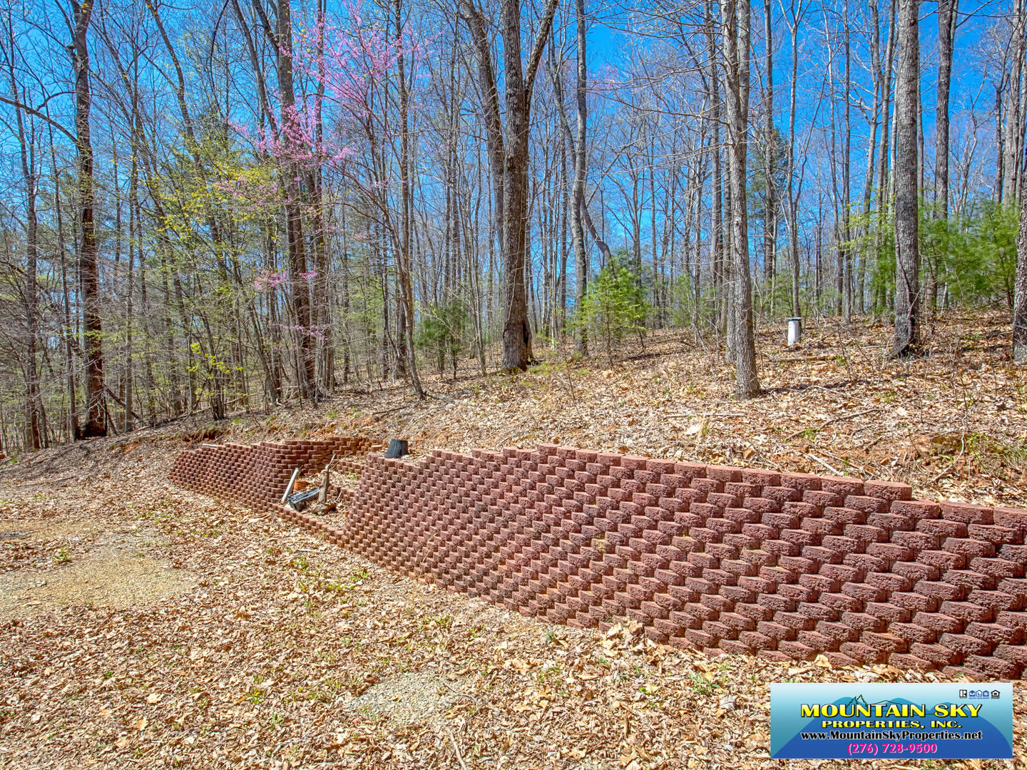 Brivity - 792 Trout Run Dr Woolwine, VA 24185 - Virtual Tour