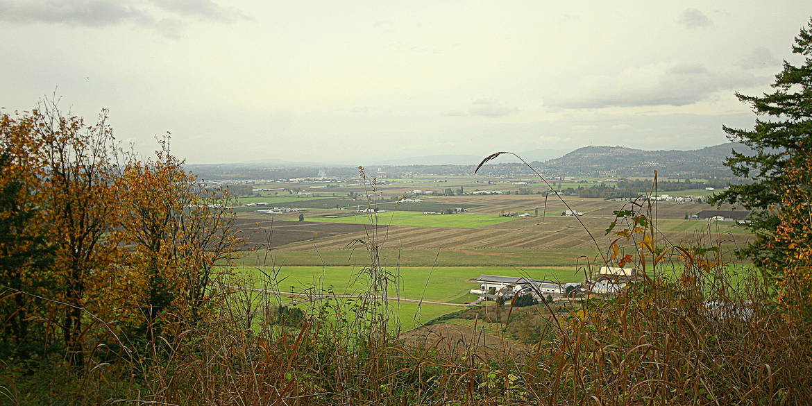 Brivity - Reese Hill Rd Sumas, WA - 98295