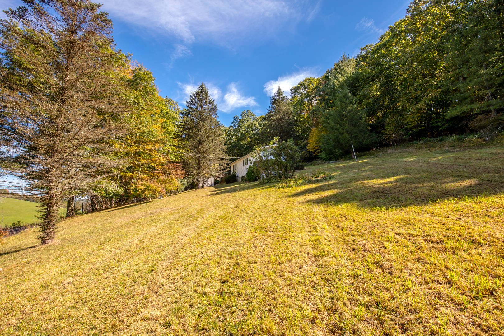 Brivity - 9868 W Blue Grass Trail Bland, VA 24315 - Virtual Tour
