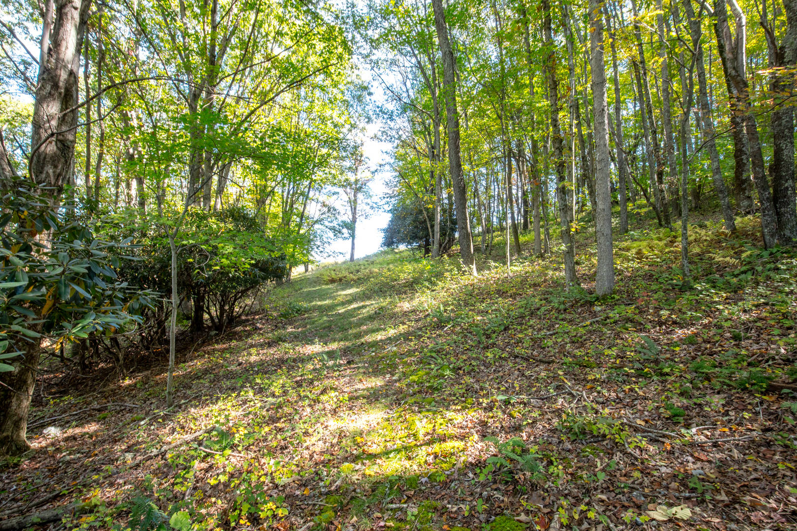Brivity - 9868 W Blue Grass Trail Bland, VA 24315 - Virtual Tour