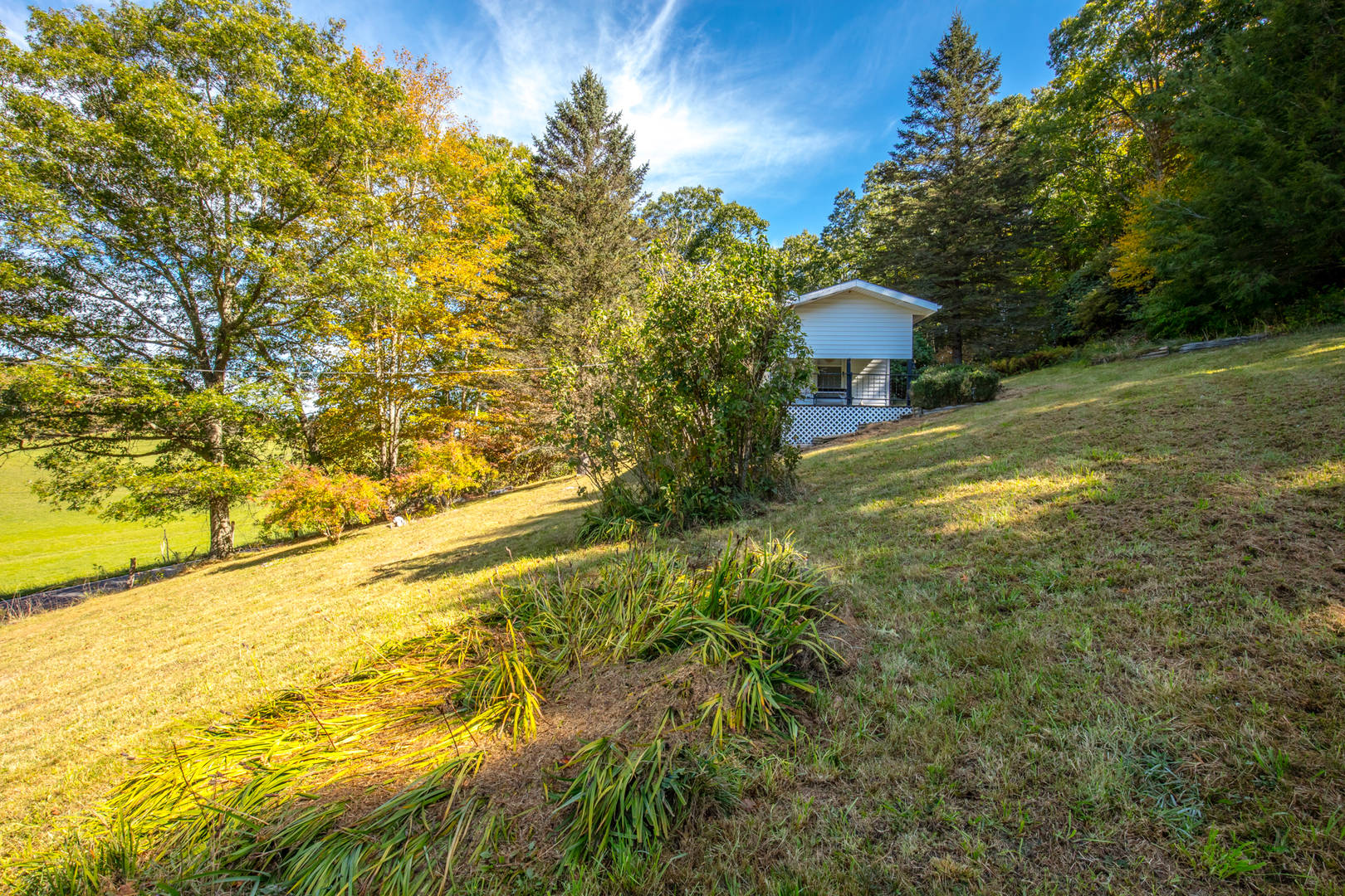 Brivity - 9868 W Blue Grass Trail Bland, VA 24315 - Virtual Tour