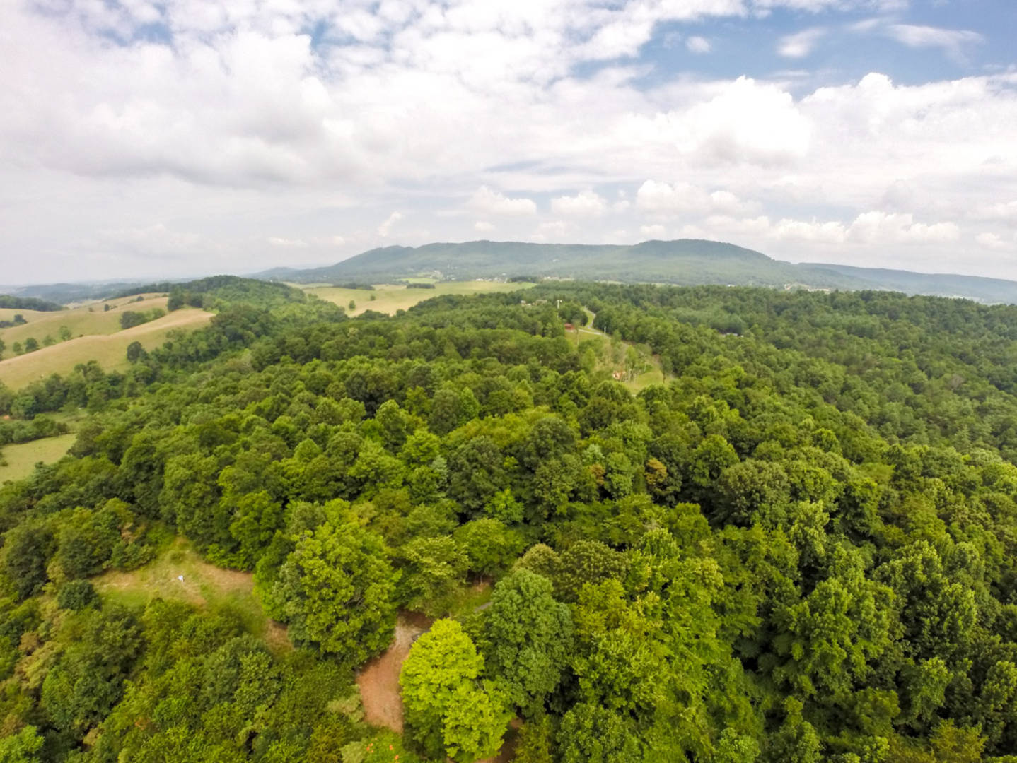Brivity - 650 Pleasant Pine Drive Max Meadows, VA 24360 - Virtual Tour