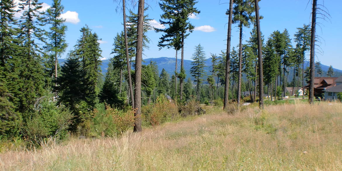 Brivity - Summit Loop Post Falls, ID - 83854