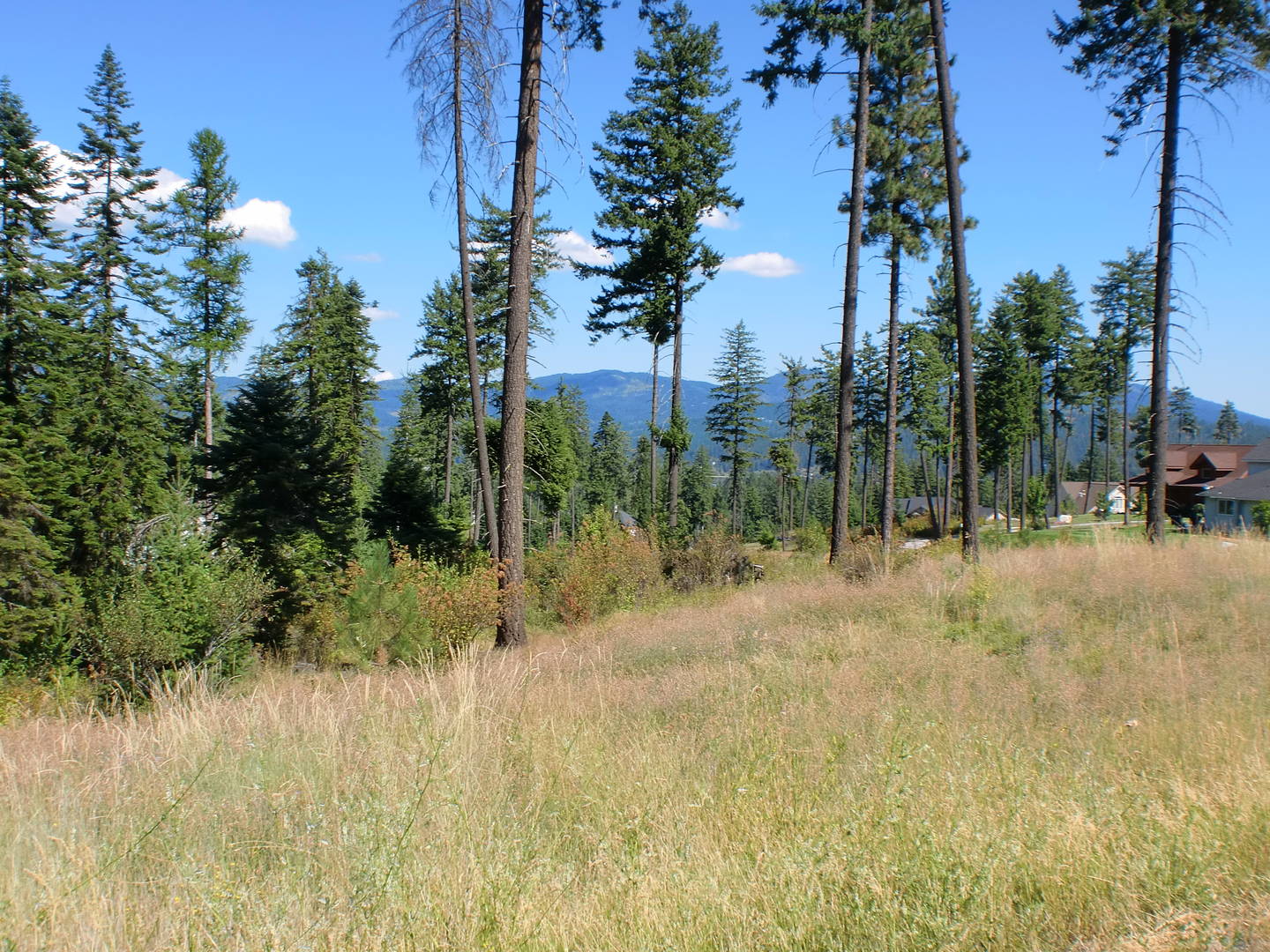 Brivity - Summit Loop Post Falls, ID 83854 - Virtual Tour