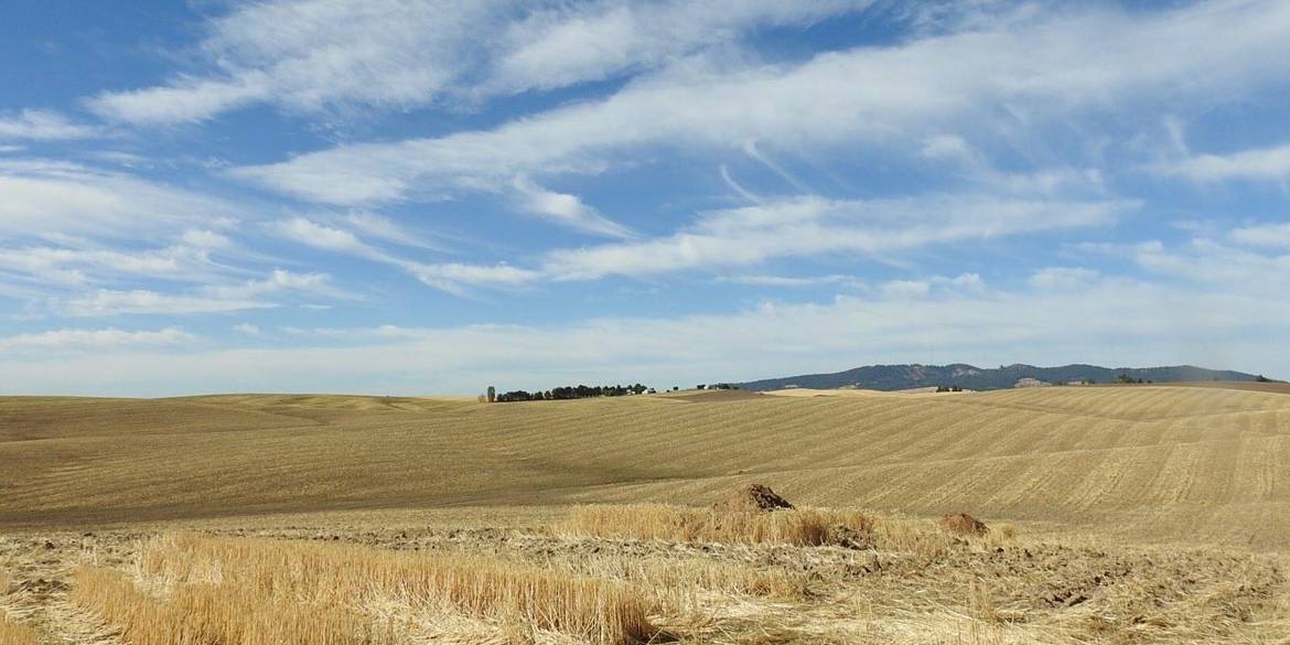 Brivity - 15970 S Madison "M1" Valleyford, WA - 99036