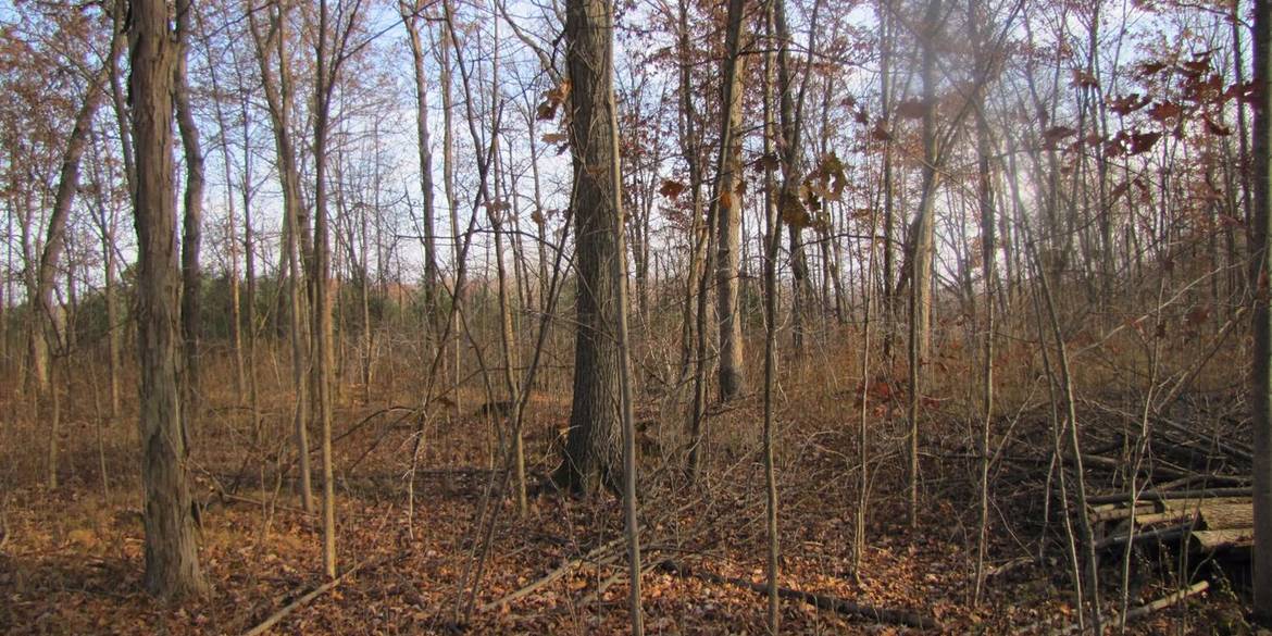 Brivity - 0 E Clyde Road Howell, MI - 48855