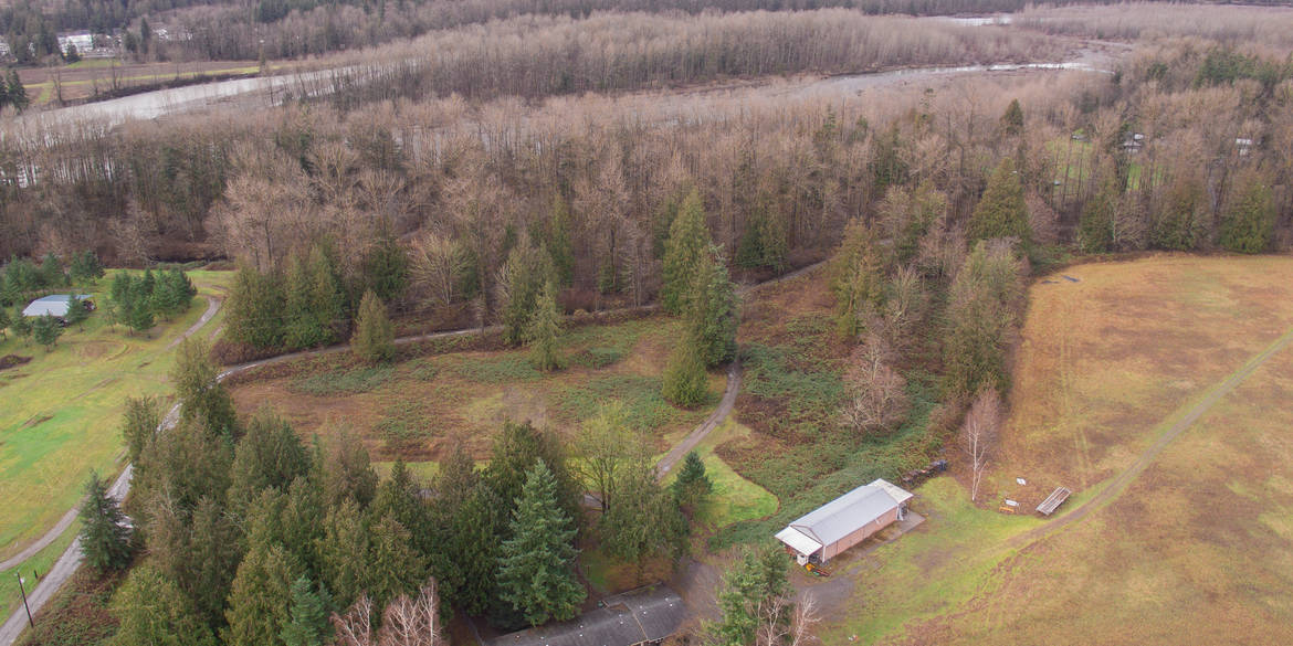 Brivity - 3626 Back Acre Rd Everson, WA - 98247