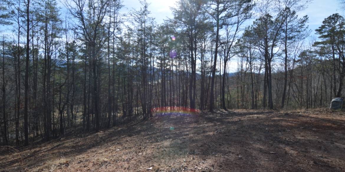 Brivity - 85 Bob Penland Rd Hayesville, NC - 28904