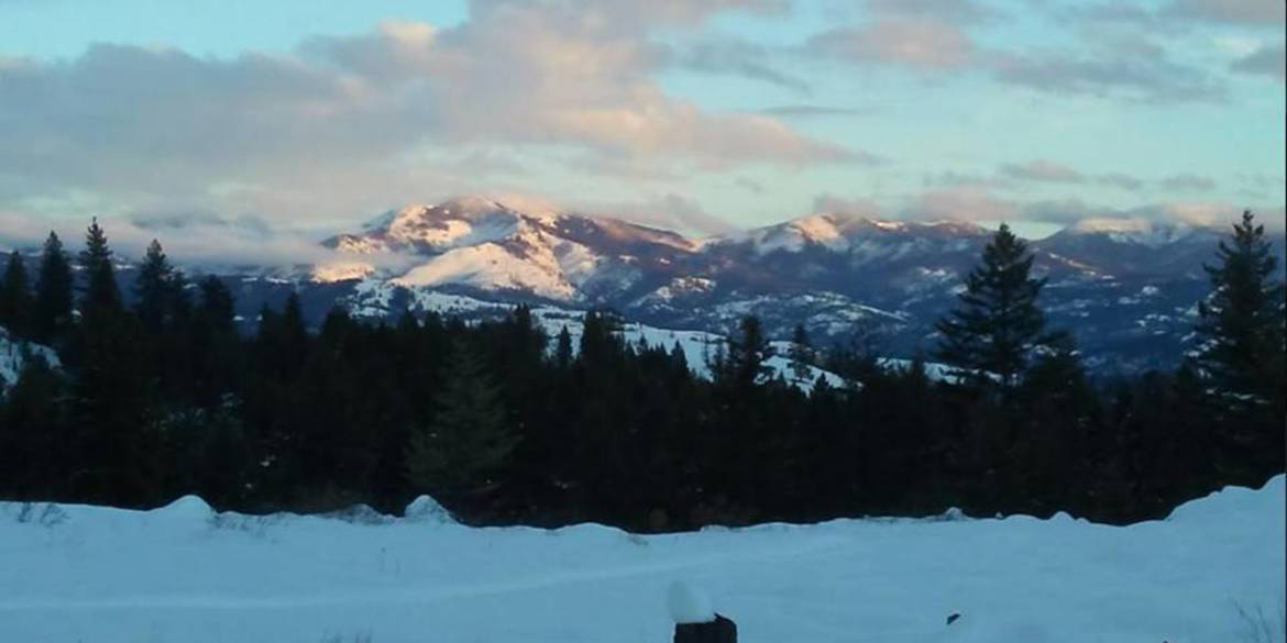 Brivity - Lot 2 Empire Creek Road Malo, WA - 99150