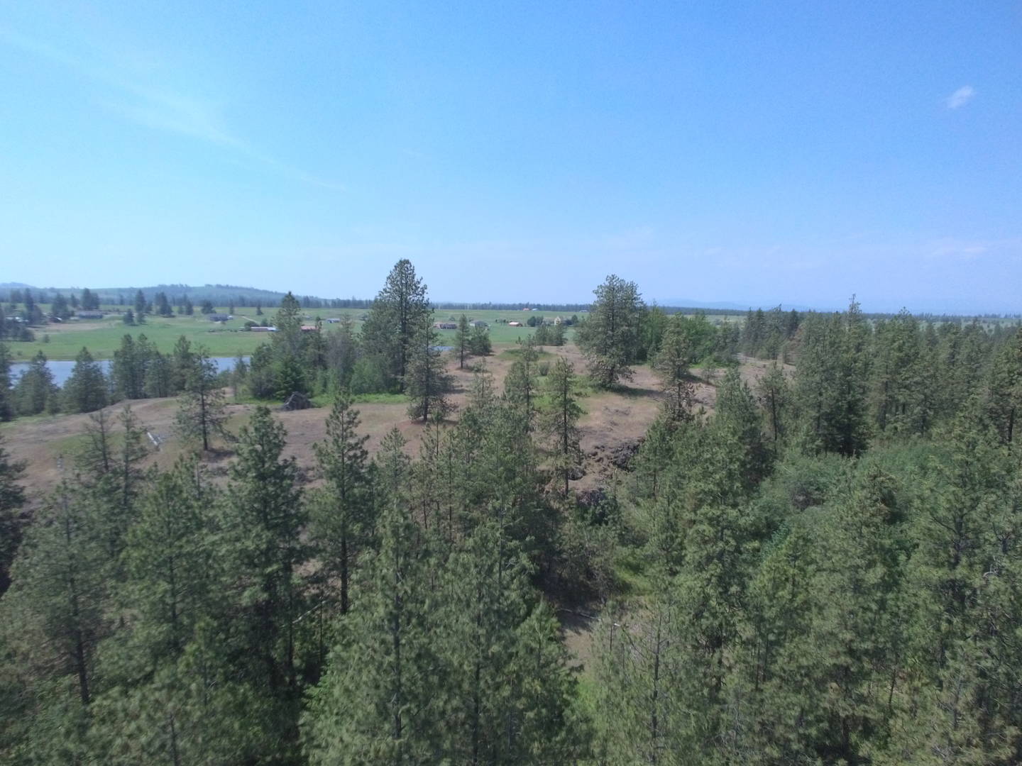 Brivity - 22XXX W Martha Ln Reardan, WA 99029 - Virtual Tour