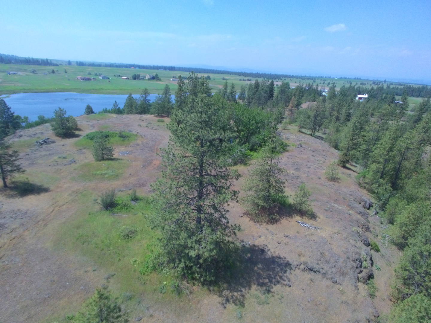 Brivity - 22XXX W Martha Ln Reardan, WA 99029 - Virtual Tour