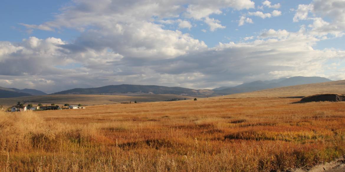 Brivity - Running W Ranch Missoula, MT - 59808