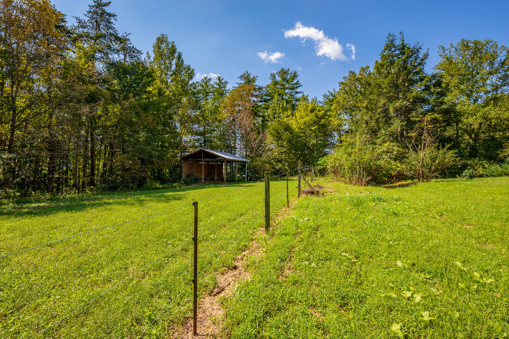 Brivity - 8854 Woolwine Hwy Woolwine, VA 24185 - Virtual Tour