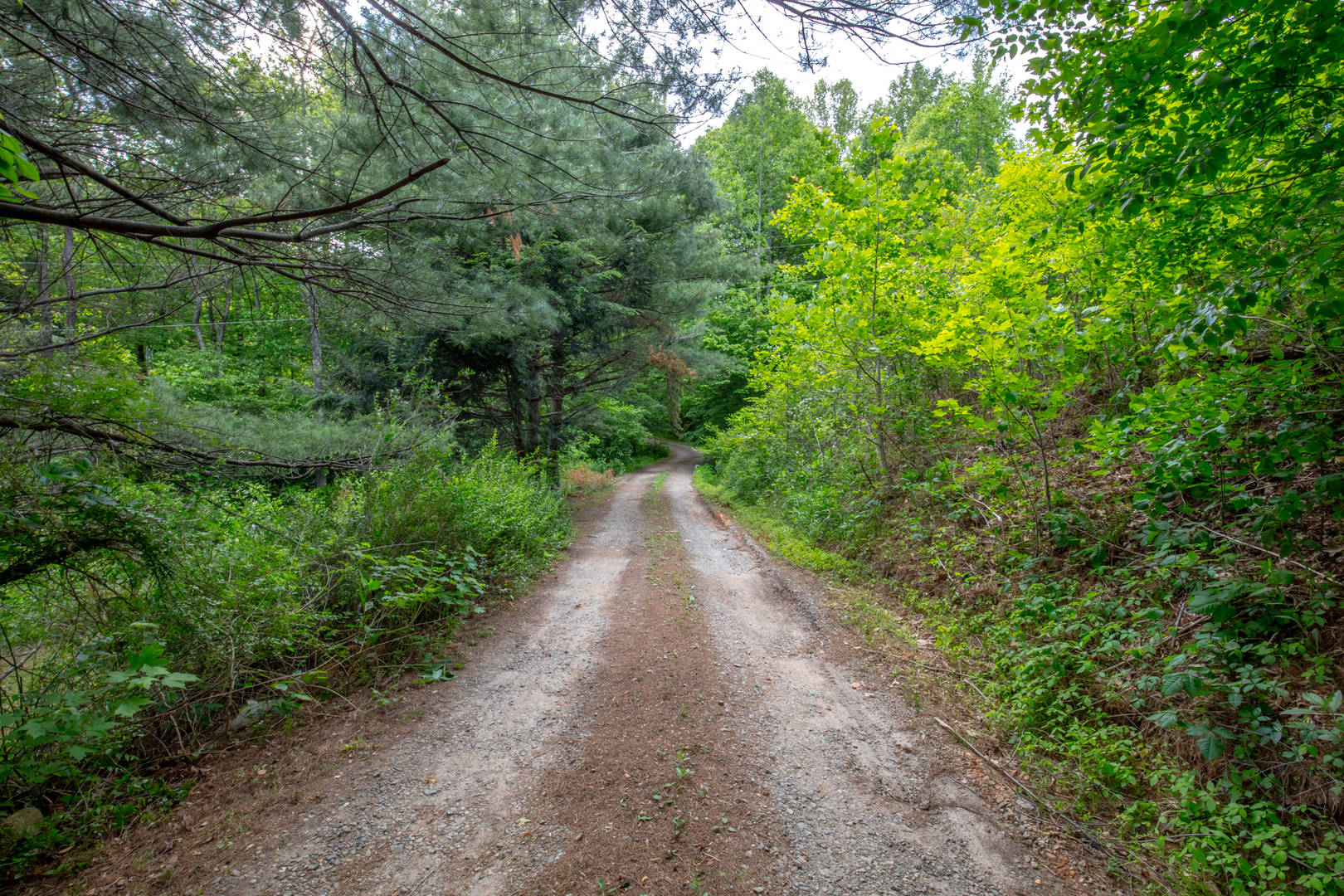 Brivity - 8854 Woolwine Hwy Woolwine, VA 24185 - Virtual Tour