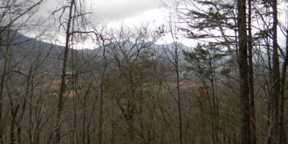 Brivity - #20 Bald Eagle Drive Young Harris, GA - 30582