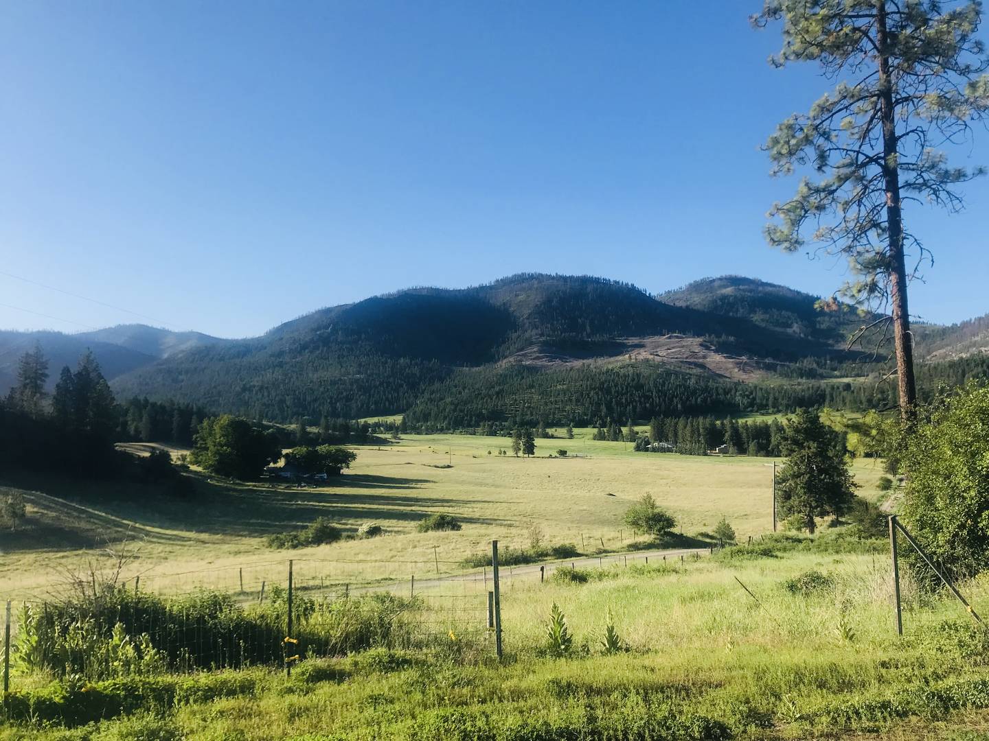 Brivity - 6377 N. Selders Rd. Hunters, WA 99137 - Virtual Tour