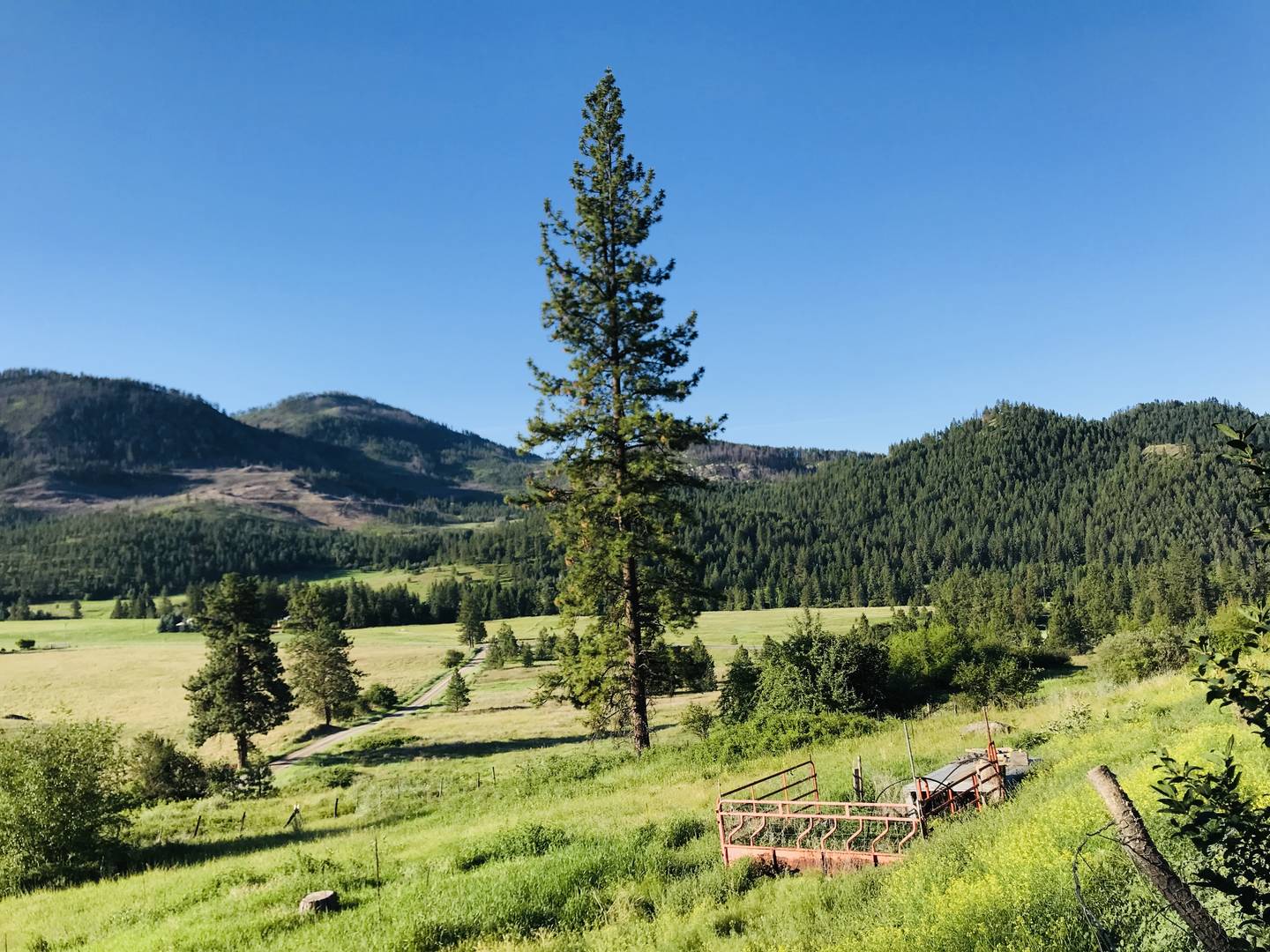 Brivity - 6377 N. Selders Rd. Hunters, WA 99137 - Virtual Tour