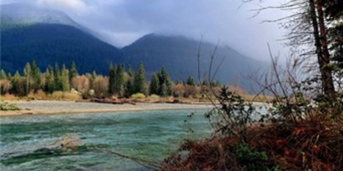 Brivity - 0 Carr Rd Randle, WA - 98377