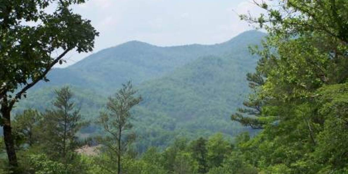 Brivity - Lot 5 Trails End Young Harris, GA - 30582