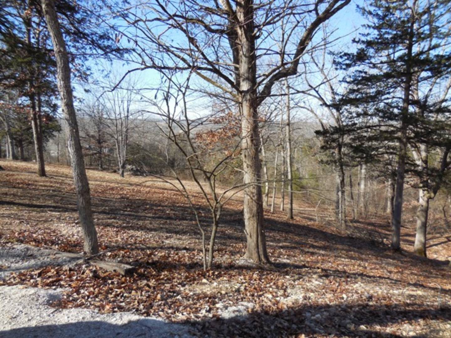 Brivity - 228 Peach Orchard Cape Fair, MO 65624 - Virtual Tour