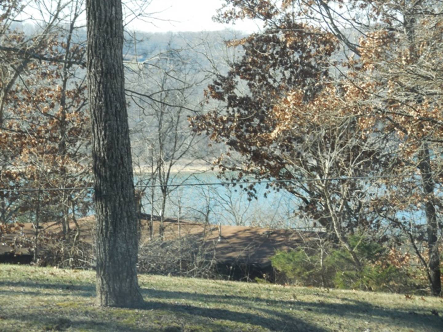 Brivity - 228 Peach Orchard Cape Fair, MO 65624 - Virtual Tour