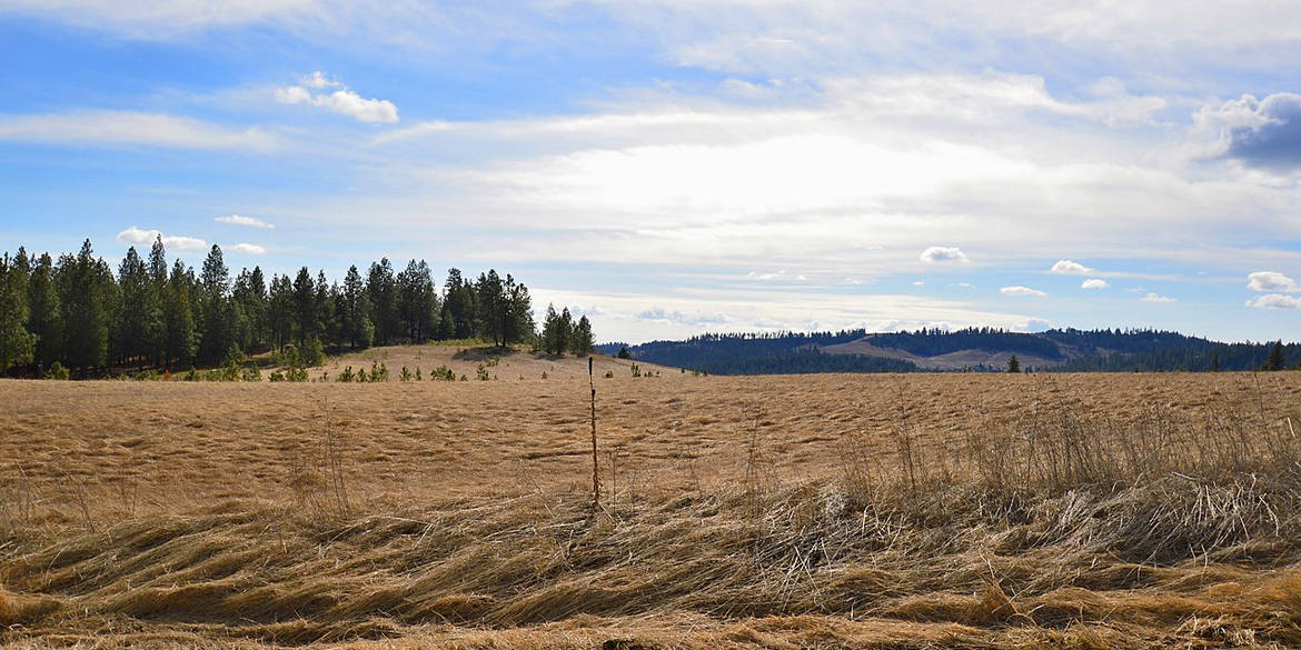 Brivity - 000 W Woolard Colbert, WA - 99005