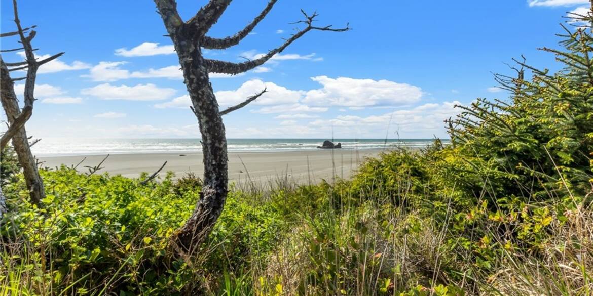 Brivity - 0 Copalis Rock Lane Copalis Beach, WA - 98535