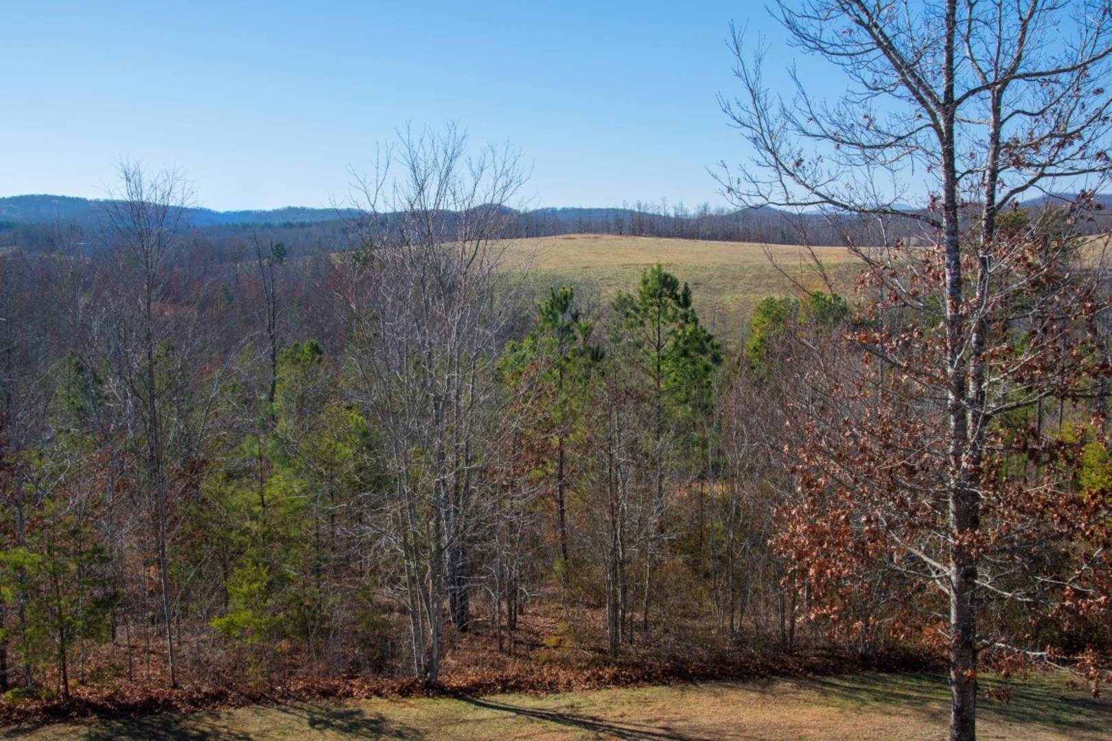 Brivity - 59 North Star Dr Union Mills, NC 28167 - Virtual Tour