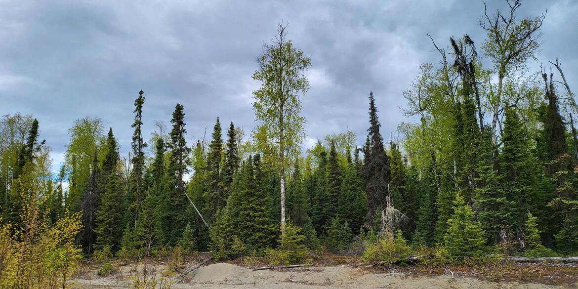 Brivity - 20389 W Donahue Ave Wasilla, AK - 99623