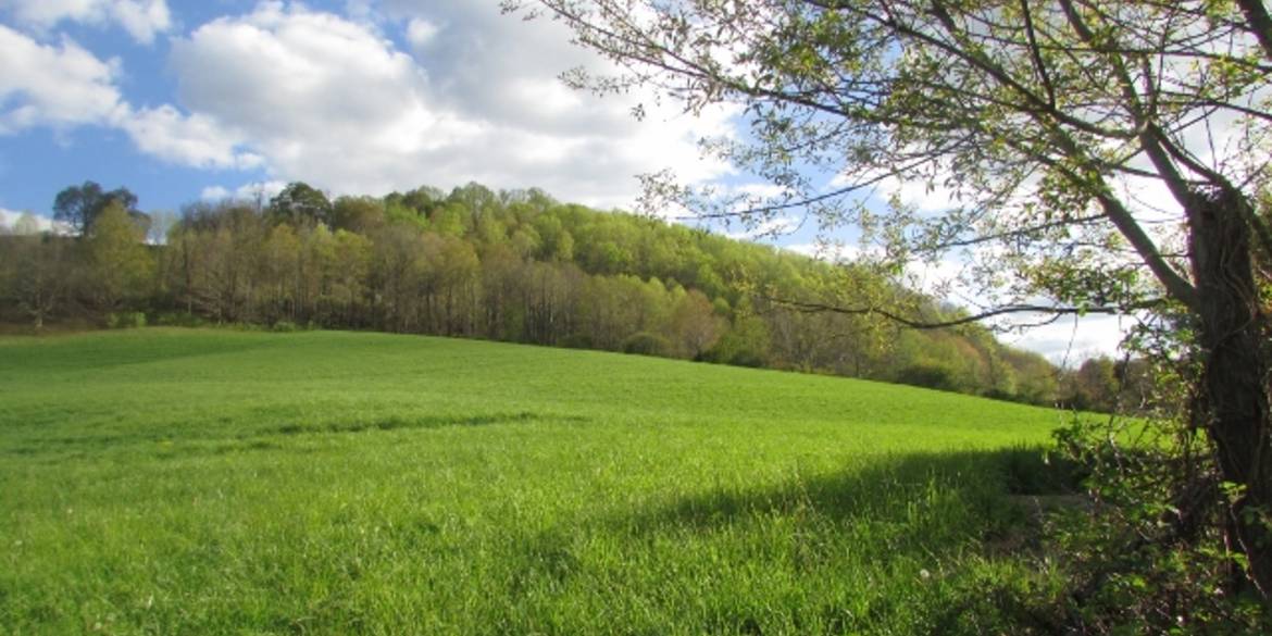 Brivity - 7805 W Blue Grass Trail Ceres, VA - 24318