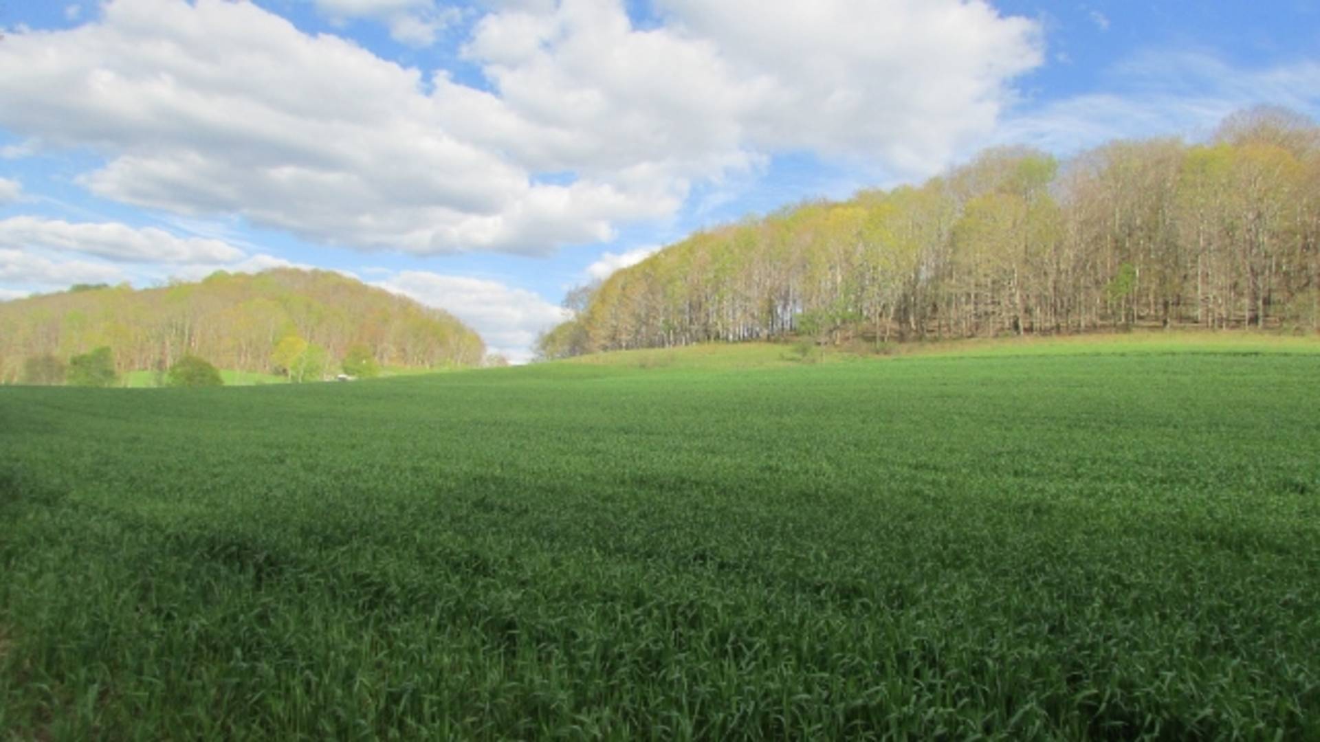 Brivity - 7805 W Blue Grass Trail Ceres, VA 24318 - Virtual Tour