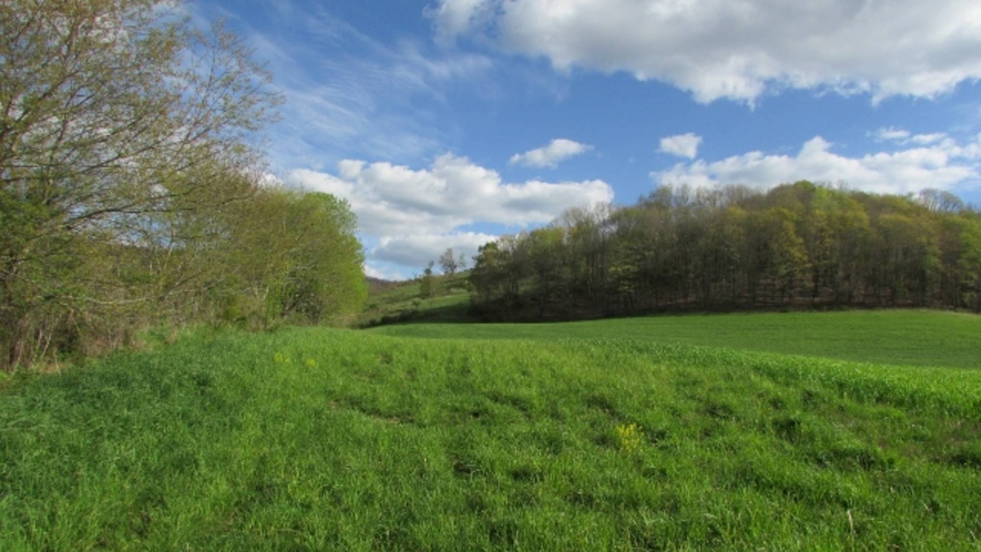 Brivity - 7805 W Blue Grass Trail Ceres, VA 24318 - Virtual Tour