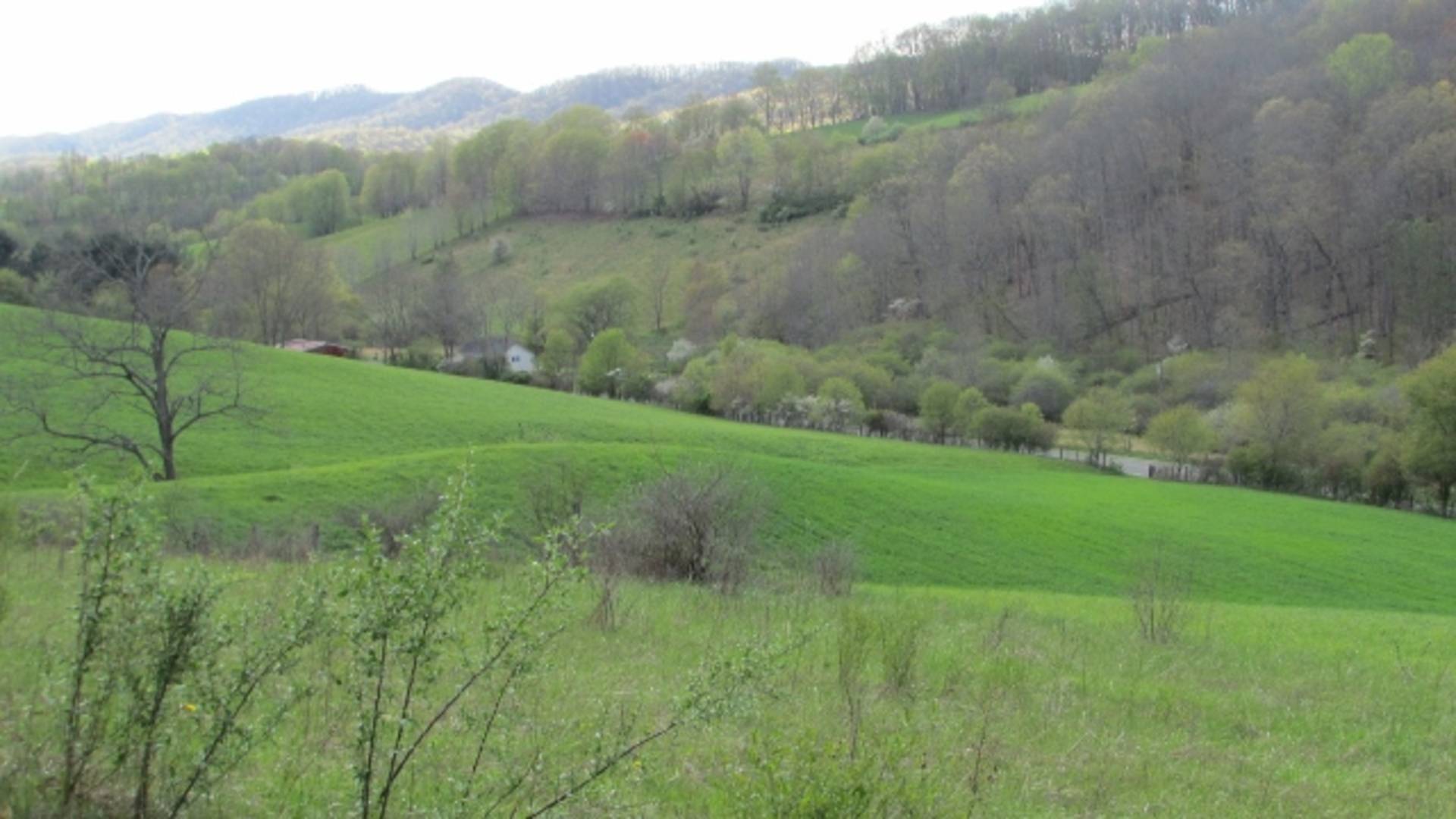 Brivity - 7805 W Blue Grass Trail Ceres, VA 24318 - Virtual Tour