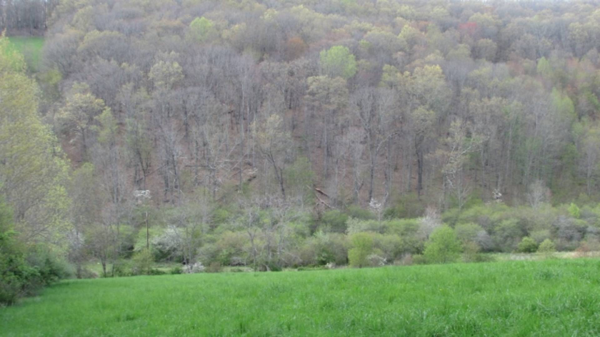 Brivity - 7805 W Blue Grass Trail Ceres, VA 24318 - Virtual Tour