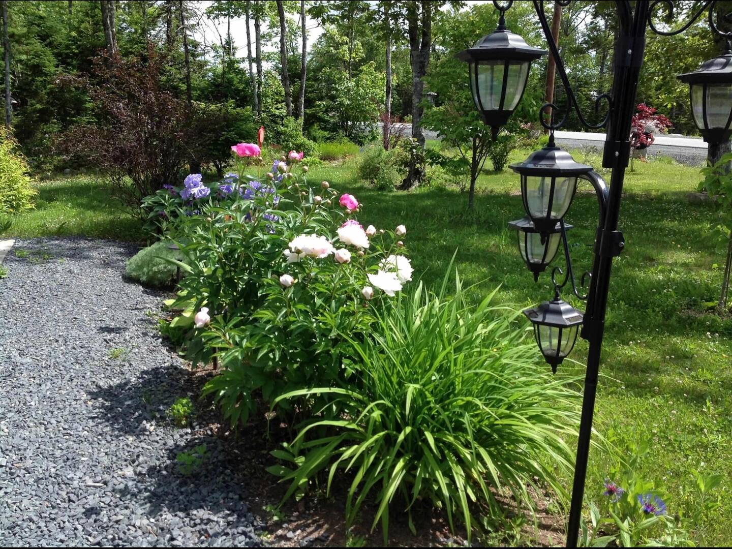Brivity - 190 Granite Cove Dr Hubley, NS B3Z4N9 - Virtual Tour