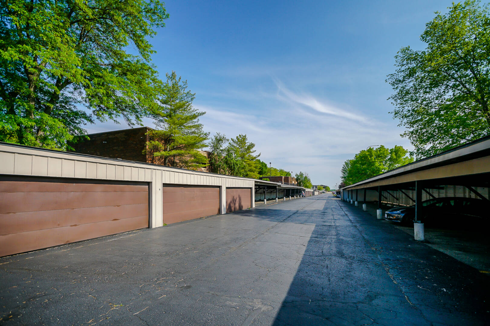 Brivity - 7127 N Terra Vista Dr #4101 Peoria , IL 61614 - Virtual Tour