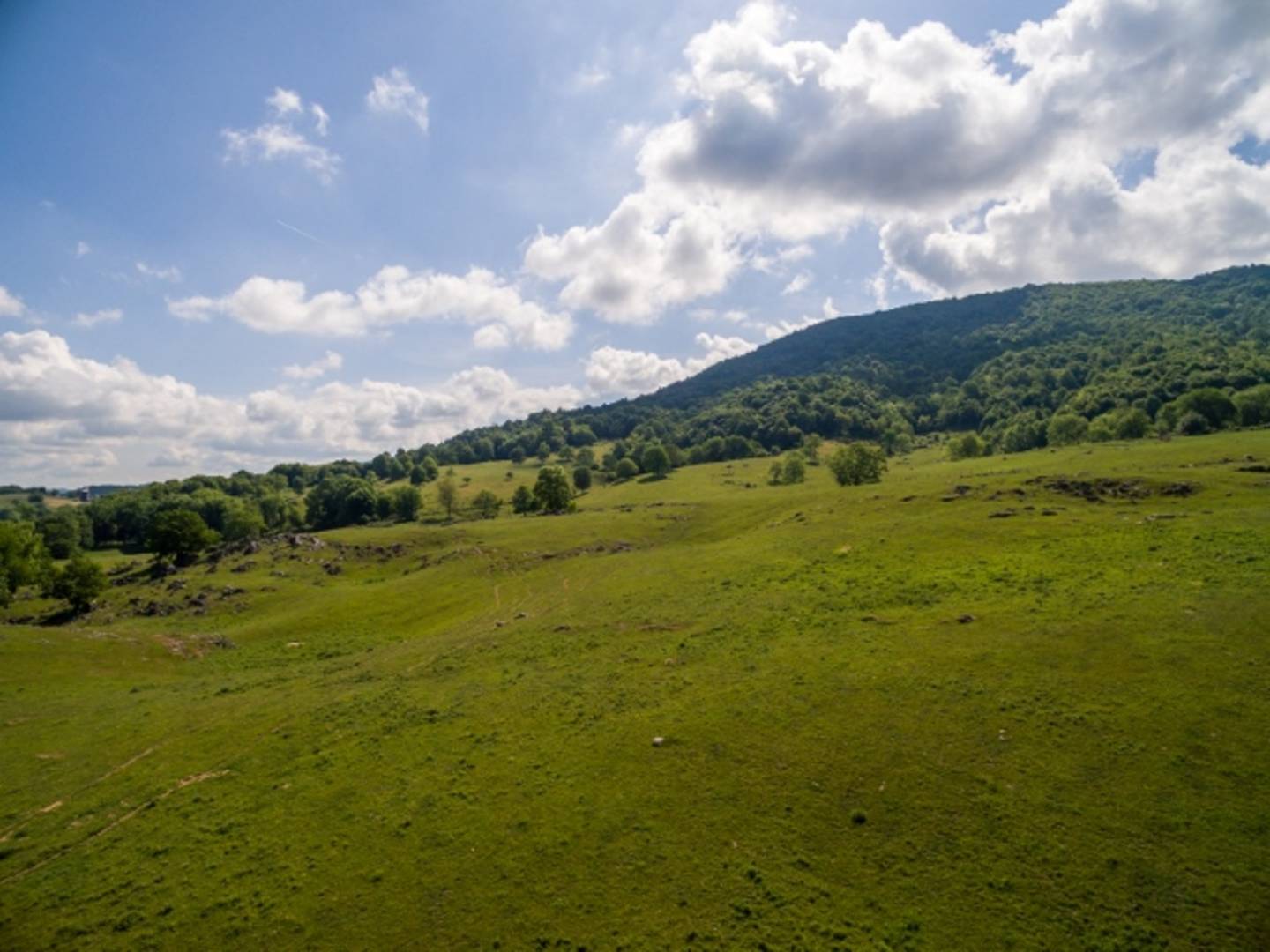 Brivity - TBD Nebo Road Ceres, VA 24318 - Virtual Tour