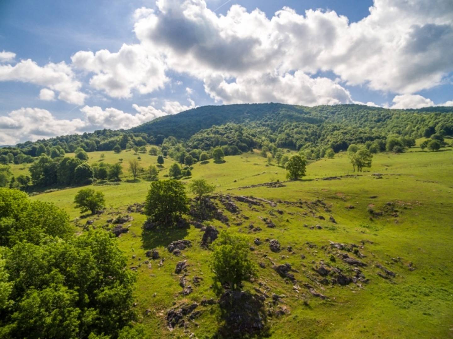 Brivity - TBD Nebo Road Ceres, VA 24318 - Virtual Tour