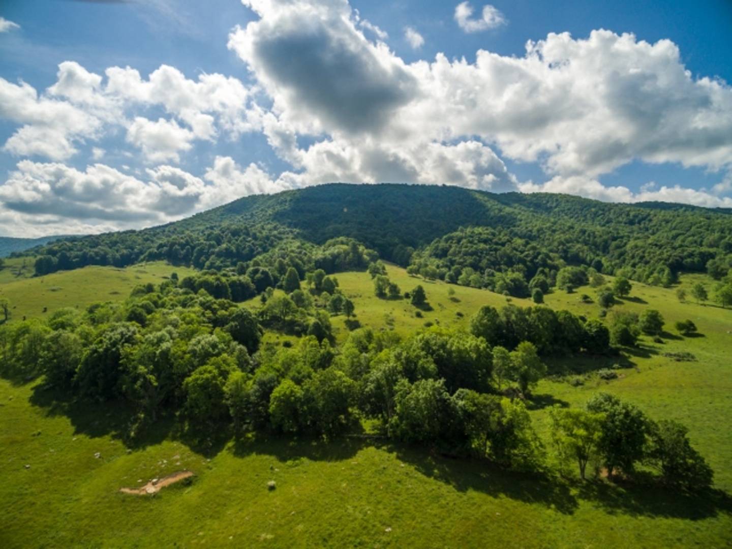 Brivity - TBD Nebo Road Ceres, VA 24318 - Virtual Tour