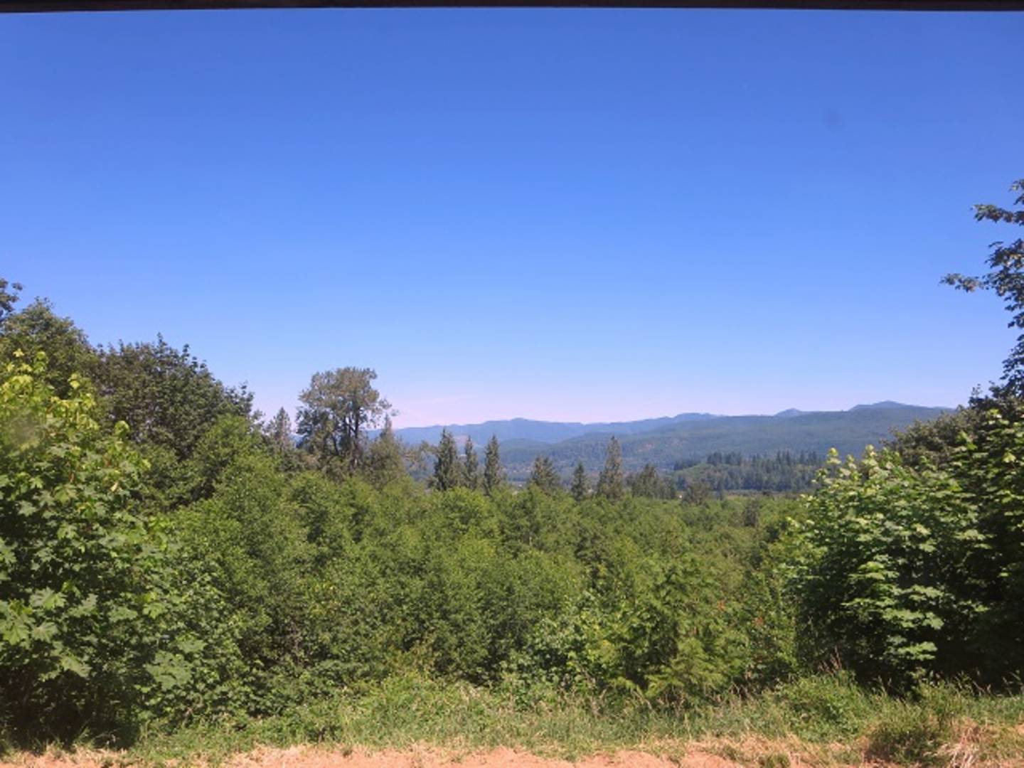 Brivity - 143 Deer Ridge Ln Mossyrock, WA 98564 - Virtual Tour