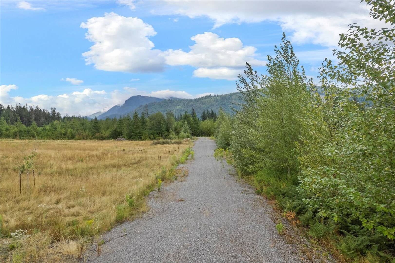 Brivity - 9250 Heady Rd Sumas, WA 98295 - Virtual Tour