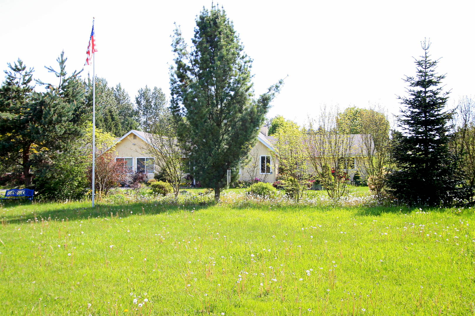 Brivity - 8260 Delta Line Rd Custer, WA 98240 - Virtual Tour