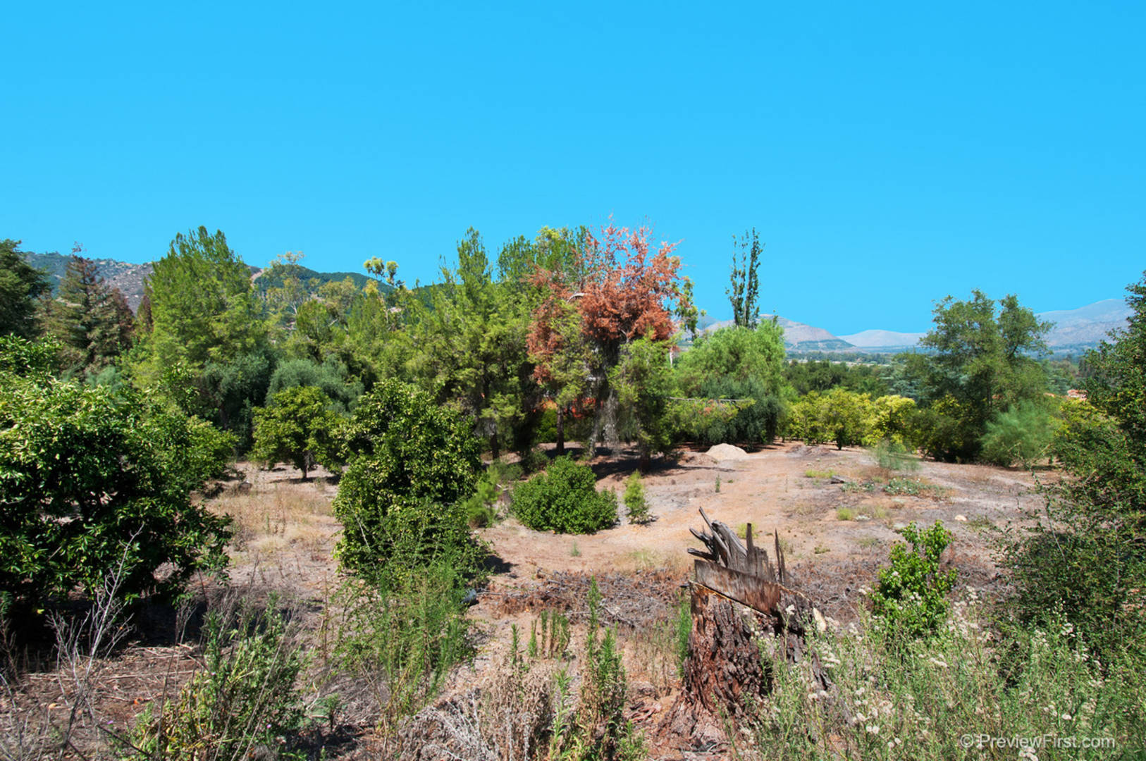 Brivity - 15419 Pauma Valley Dr. Pauma Valley, CA 92061 - Virtual Tour