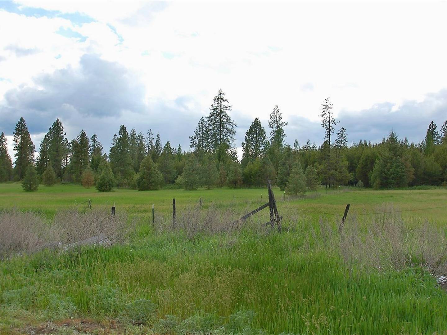 Brivity - 400 S Main St Springdale, WA 99173 - Virtual Tour