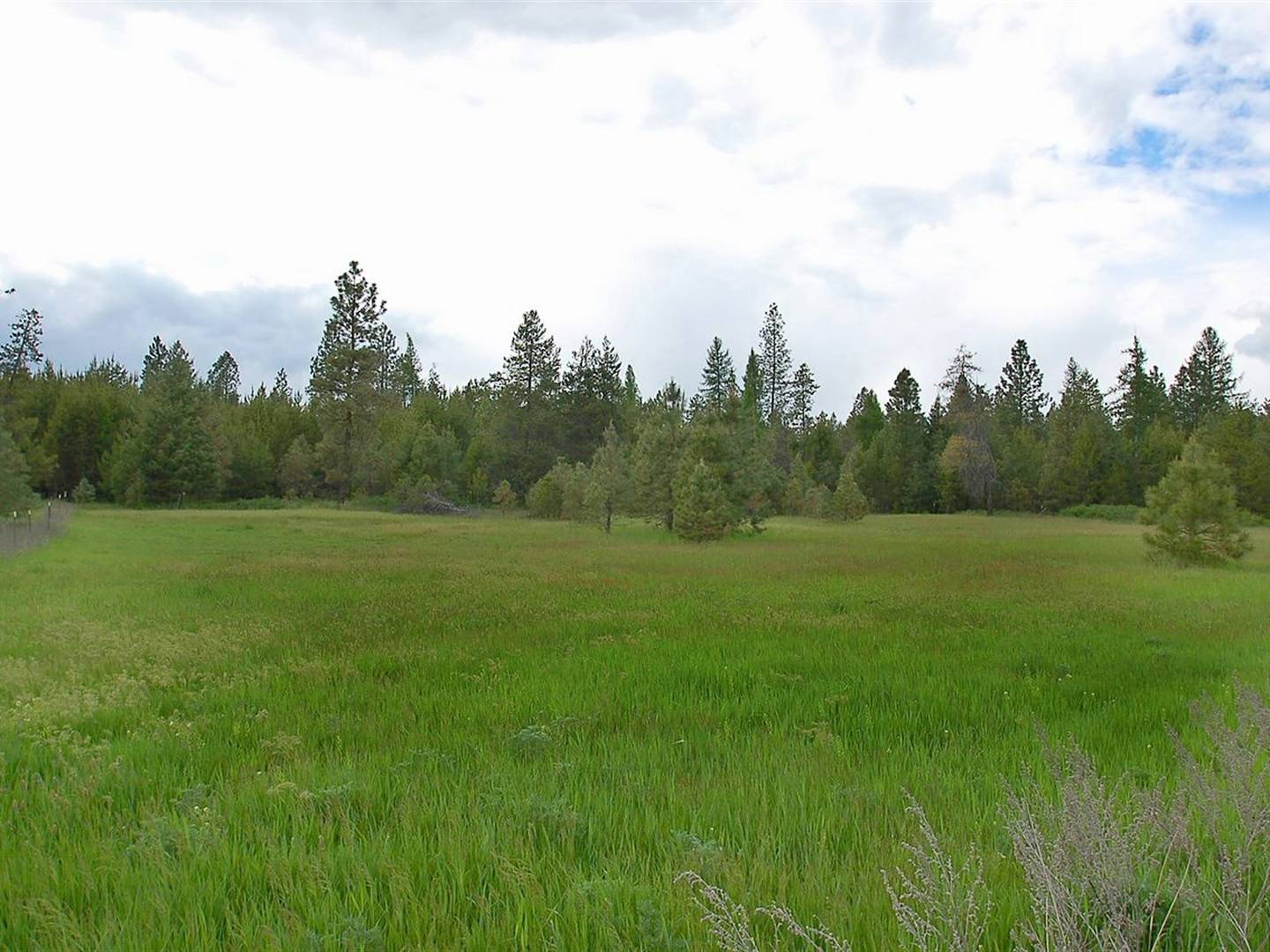 Brivity - 400 S Main St Springdale, WA 99173 - Virtual Tour